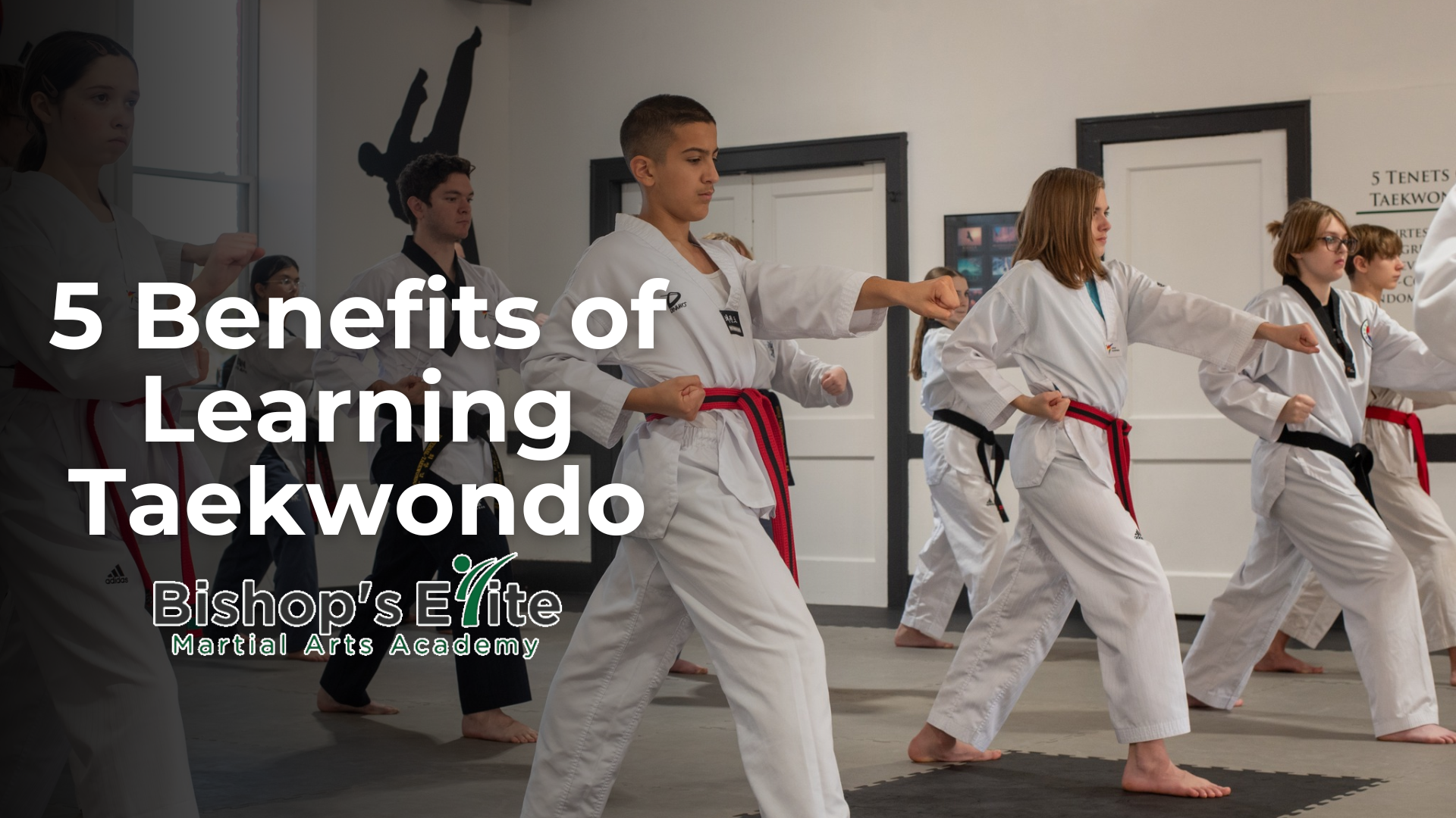 5 Benefits of Learning Taekwondo - Bishops Elite Martial Arts Academy ...